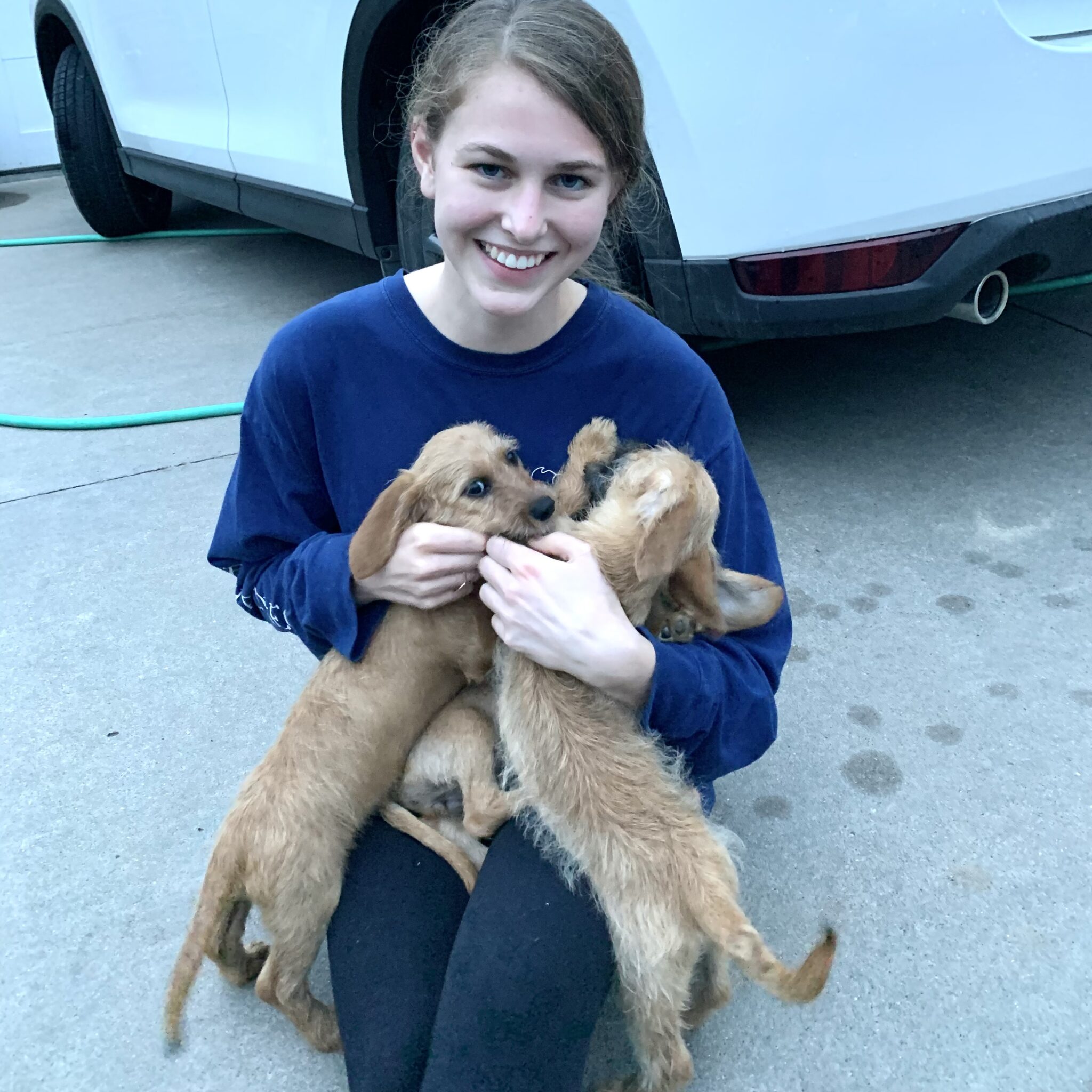 Home - Spot's Last Stop Canine Rescue